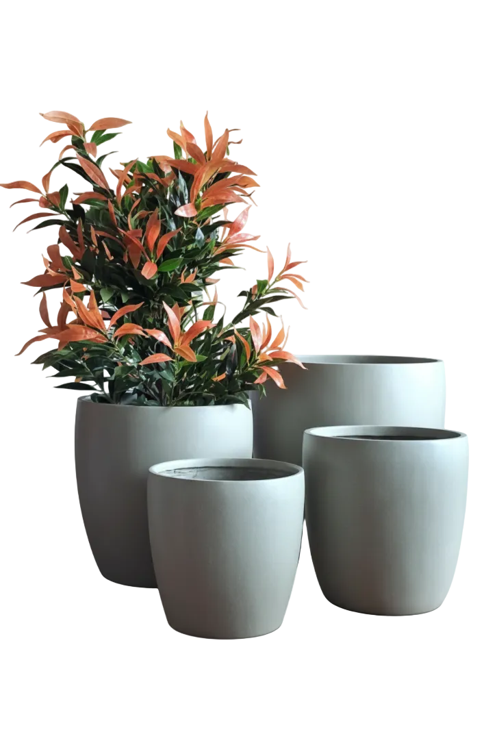 BRIYA Round FRP Planter – Elegant Premium Design for Your Space ...